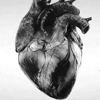Learn ECG Basics in 3 Seconds – Medical GIF